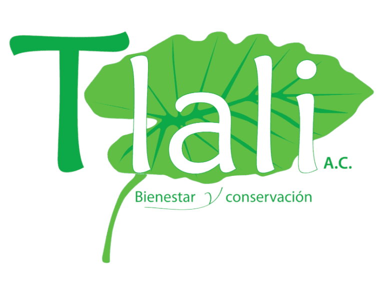 Informe anual Tlali 2023 2026 - Tlali Bienestar y Conservación A.C.